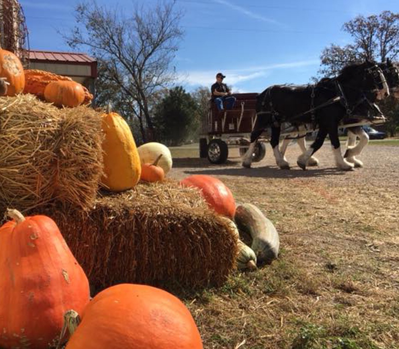 Fall Festivals and Events - Table Rock Lake Area Info