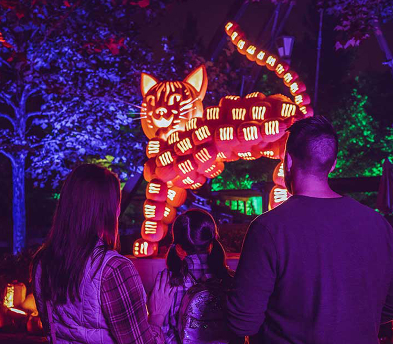 Fall Festivals and Events - Table Rock Lake Area Info