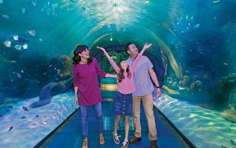 Things to Do Around Table Rock Lake